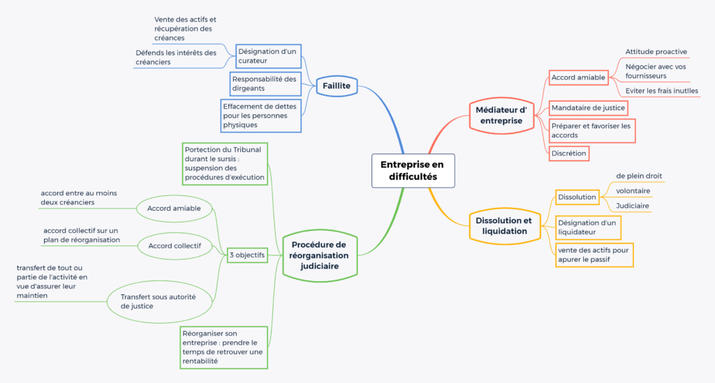 La procédure de réorganisation judiciaire (PRJ) - Florian Ernotte - Avocat